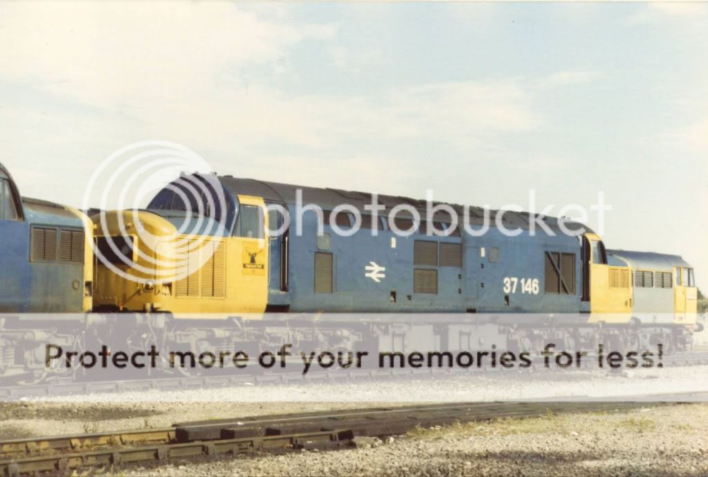 British Trainz • View topic - Class 37 Reskins