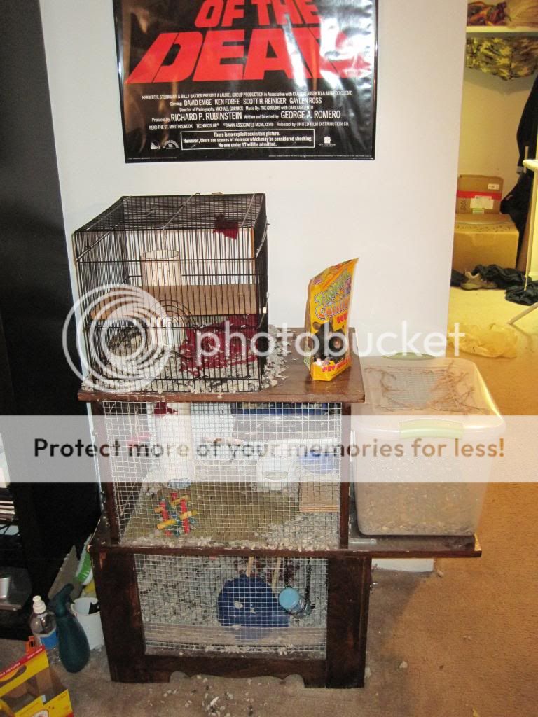 DIY: Cage building? | The Rat Shack - Pet Rat Forum