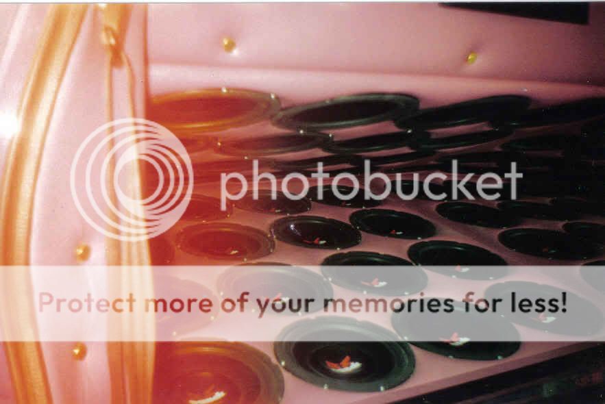 Old school install thread | Page 6 | DIYMobileAudio.com Car Stereo Forum